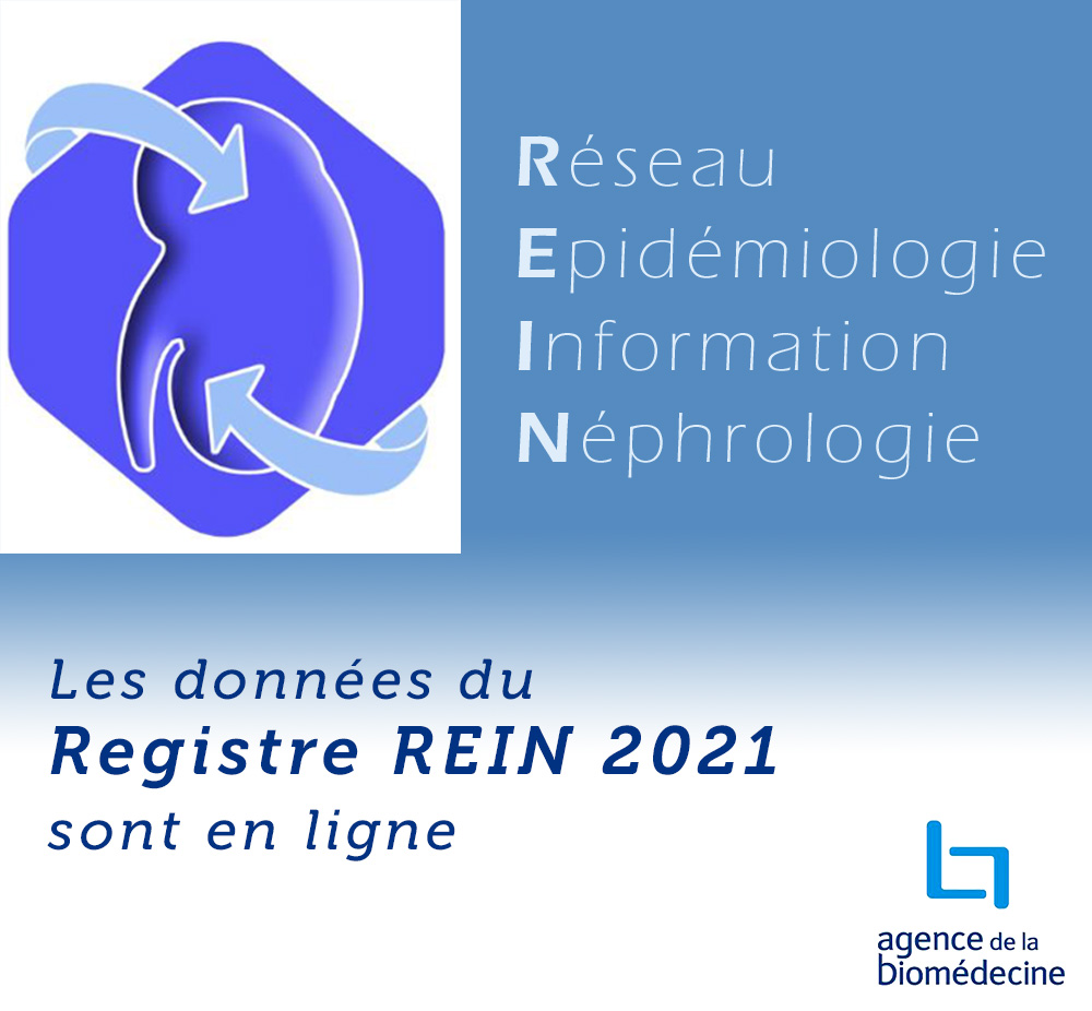 Les données du rapport REIN 2021 sont en ligne - France Rein