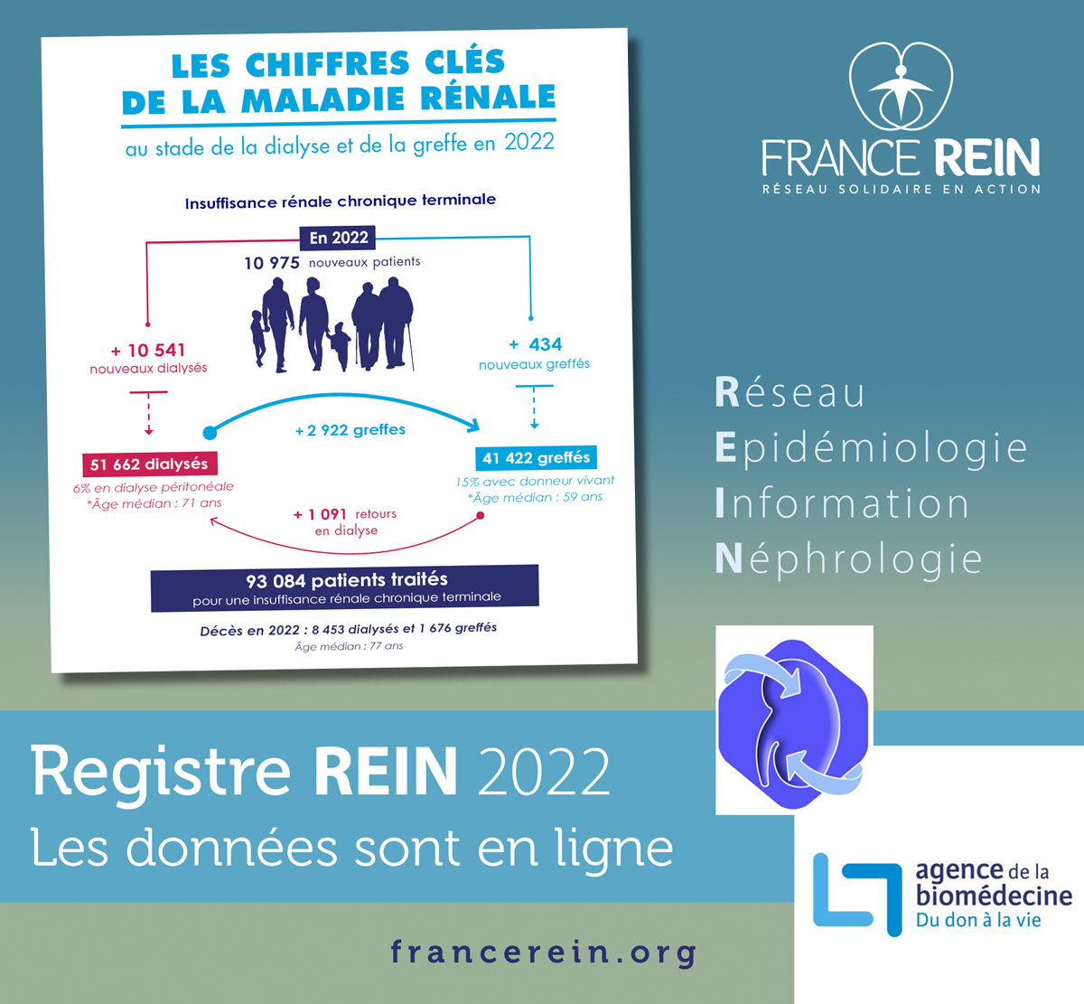 Les chiffres clés de la maladie rénale - France Rein