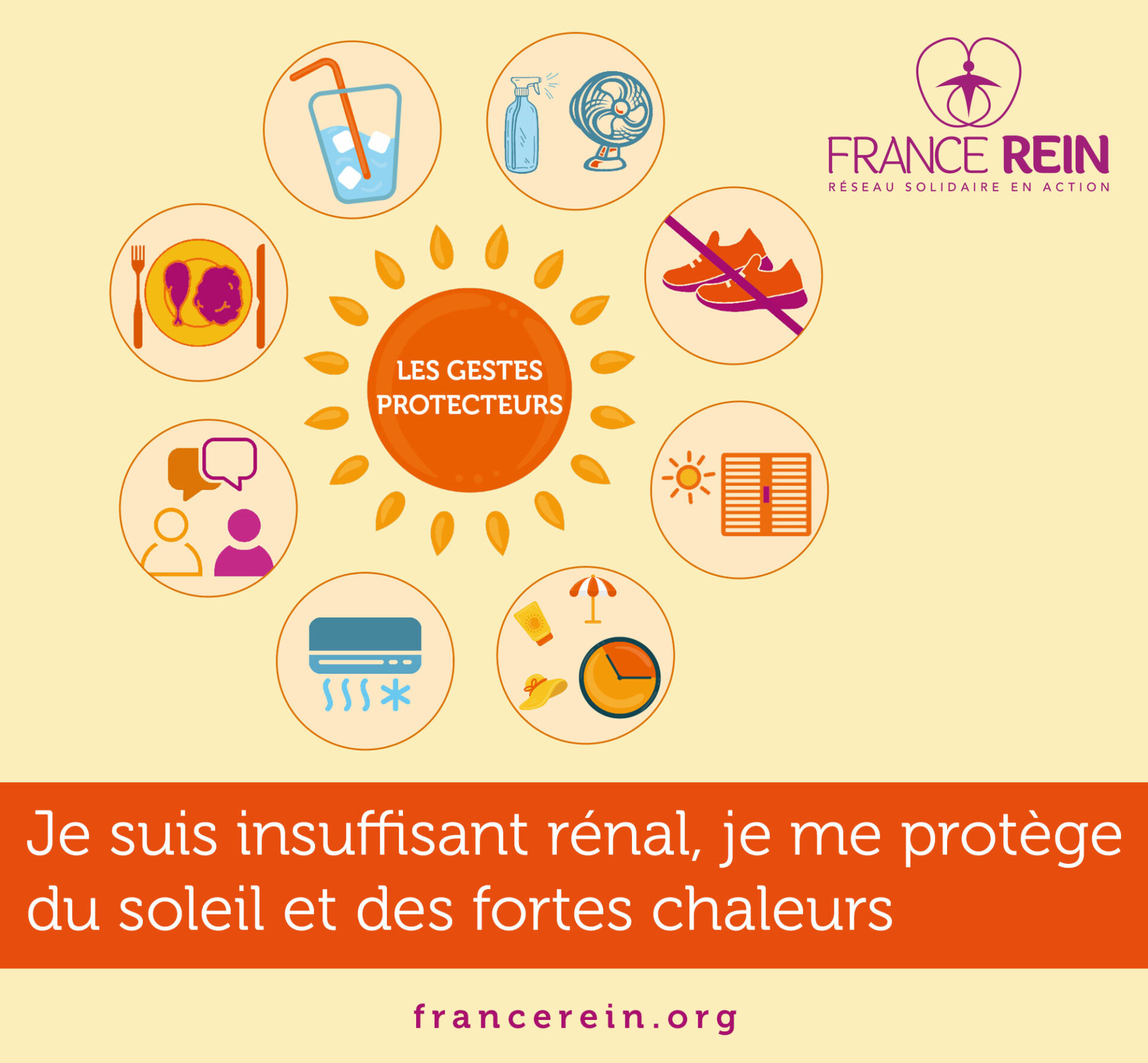 Fortes chaleurs, soleil : protégez-vous ! - France Rein